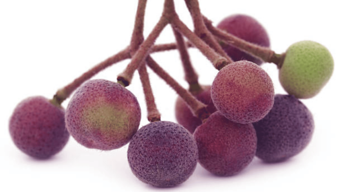 Top 10 Unique Indian Fruits